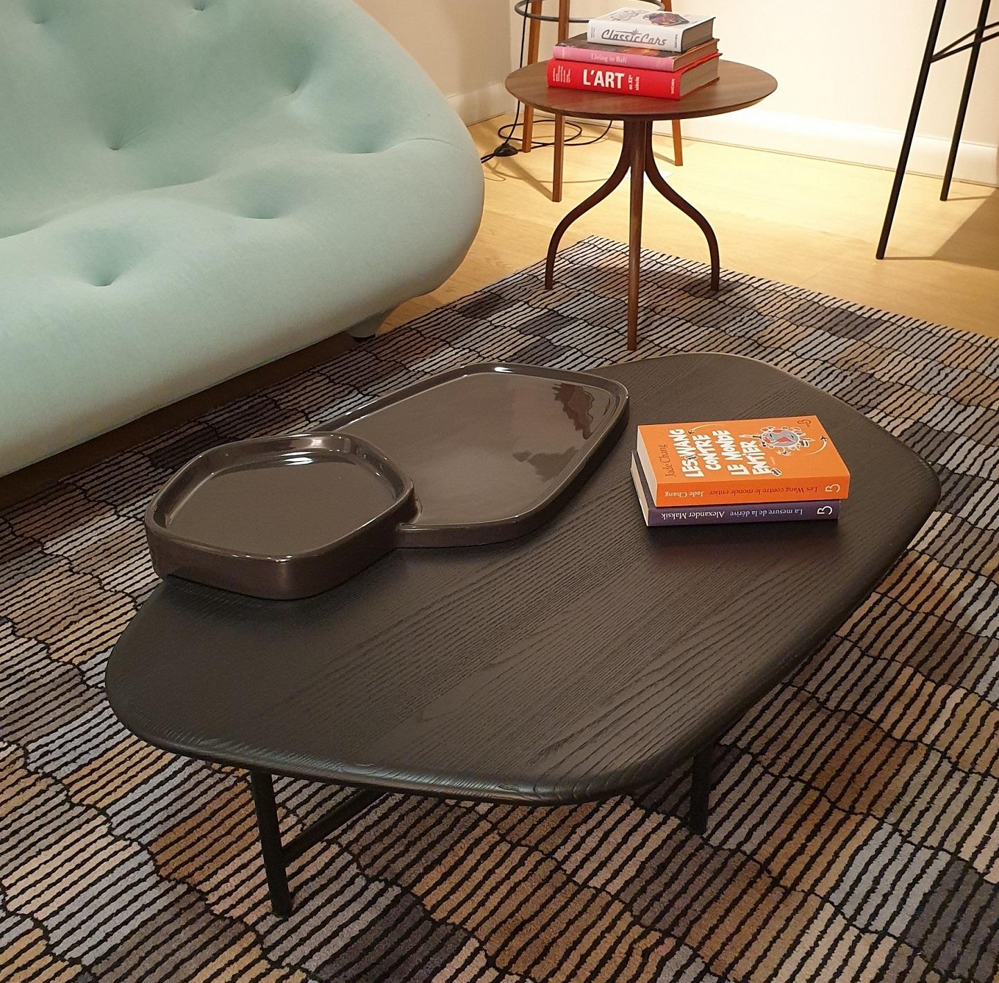 Ligne Roset FR